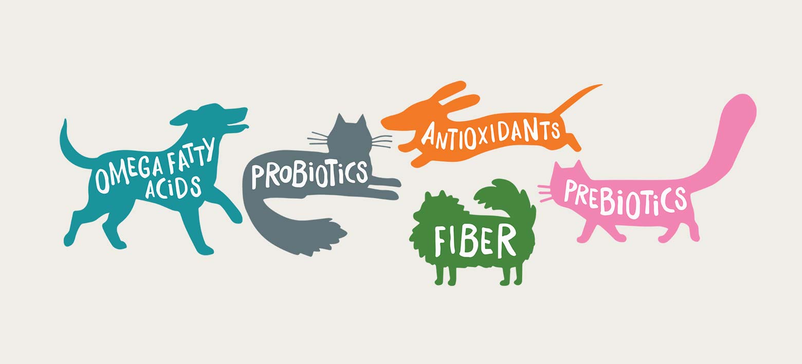 Because Animals - The Cultured Pet Food Company | CreatureLand.