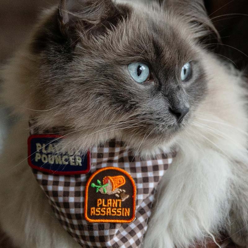 Scout's Honour - Plant Assassin Iron-on Patch For Pets | CreatureLand.