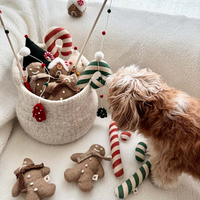 Wetnose - Handmade Cat Toys | CreatureLand.