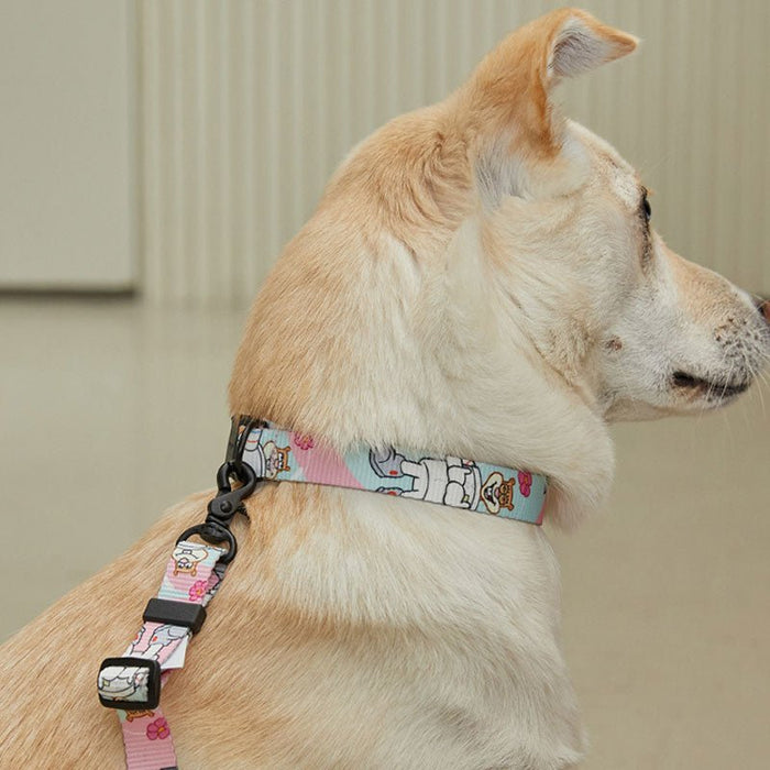 andblank® x SpongeBob Dog Collar – Fashionable & Durable for All Sizes ...
