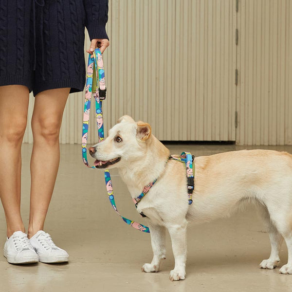 SpongeBob & andblank® Hands-Free Dog Leash - Versatile, Comfortable ...