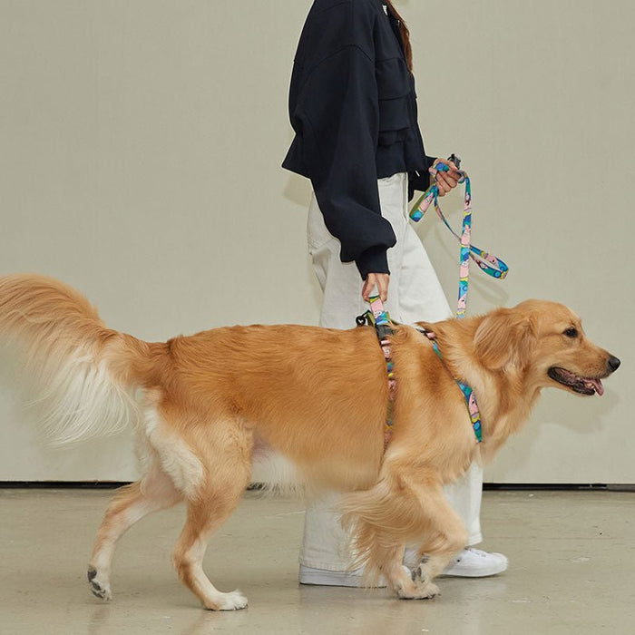 SpongeBob & andblank® Hands-Free Dog Leash - Versatile, Comfortable ...