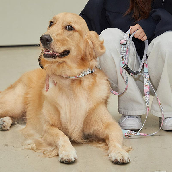 SpongeBob & andblank® Hands-Free Dog Leash - Versatile, Comfortable ...