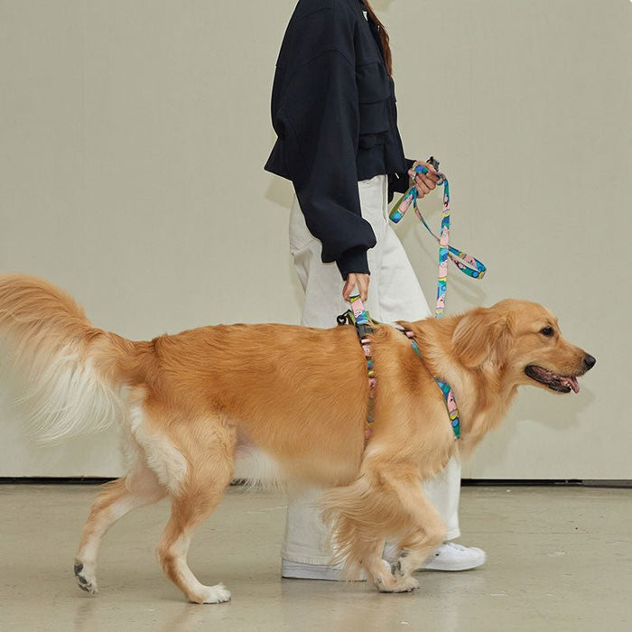 SpongeBob & andblank® Pro Light Harness: Comfortable, Stylish Pet Gear ...