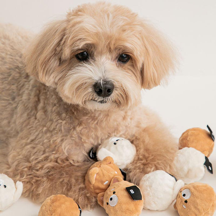 Bite Me - Korean Dog Toys and Pet Supplies | CreatureLand.