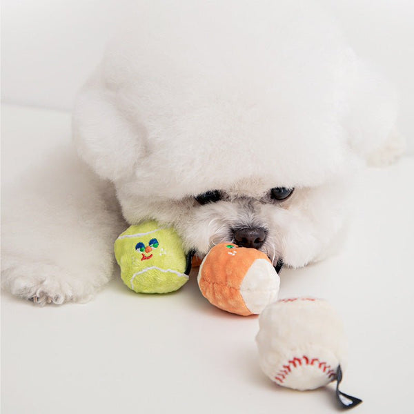 Bite Me — Mini Sport Balls Dog Toy Set | CreatureLand.