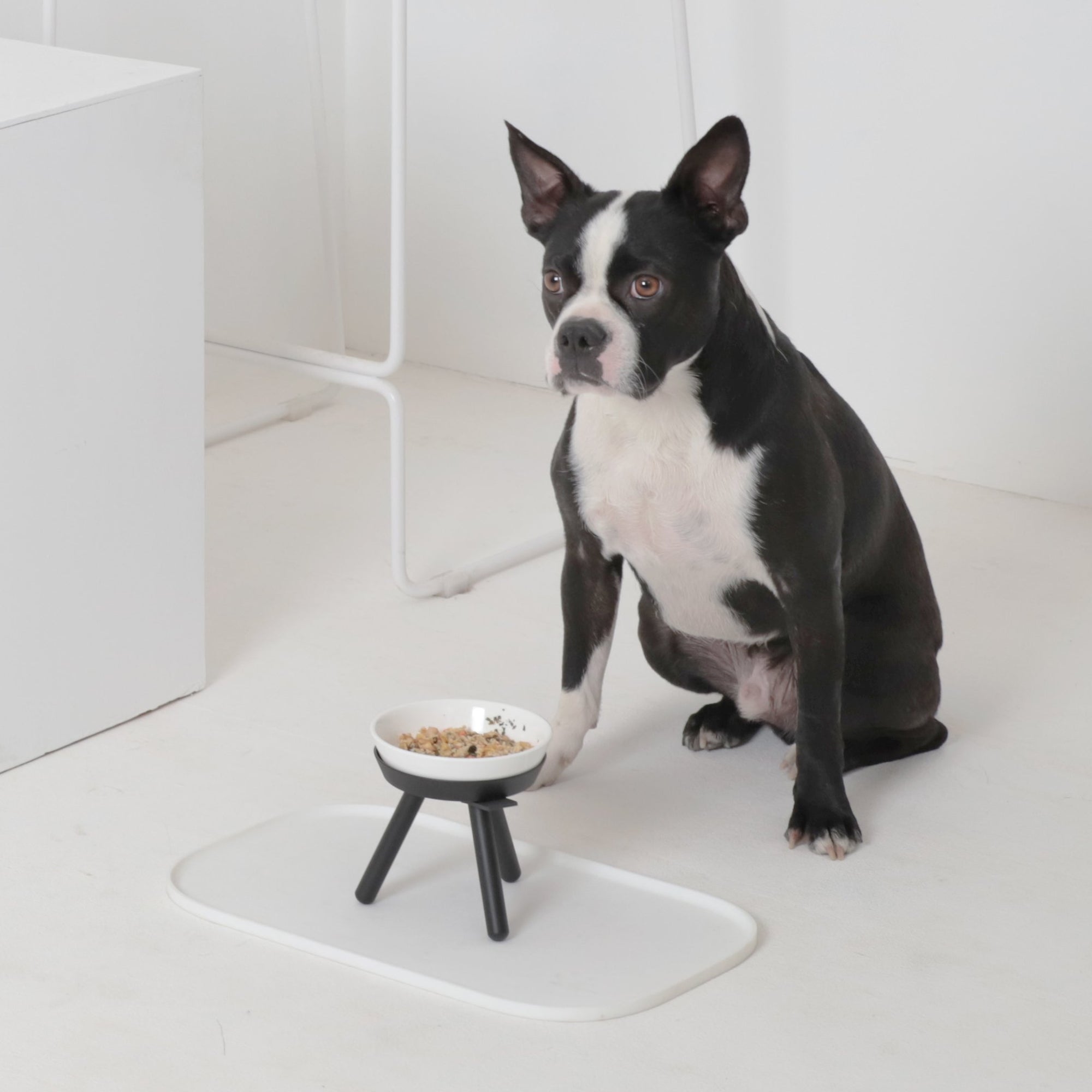 Oreo Table Tall Small — Black | CreatureLand.