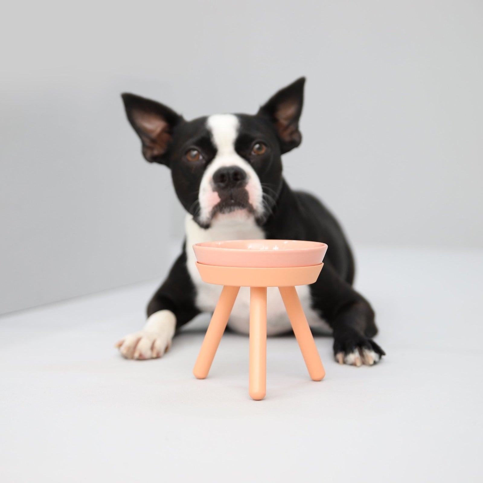 Oreo Table Tall Small — Pink | CreatureLand.