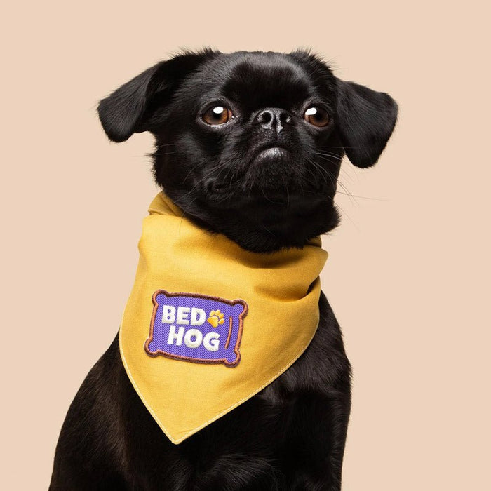 Scout's Honour Dog Merit Badge | CreatureLand.