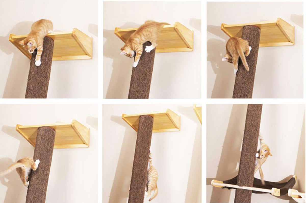 Platform Pillar Cat Tree | CreatureLand.
