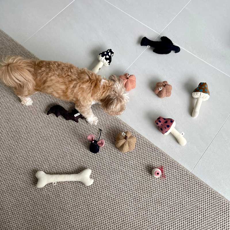 Wetnose - Toadstool Dog Toy (3 Colours) | CreatureLand.