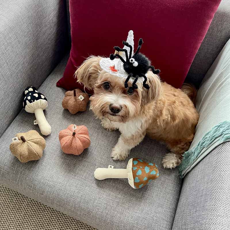 Wetnose - Toadstool Dog Toy (3 Colours) | CreatureLand.